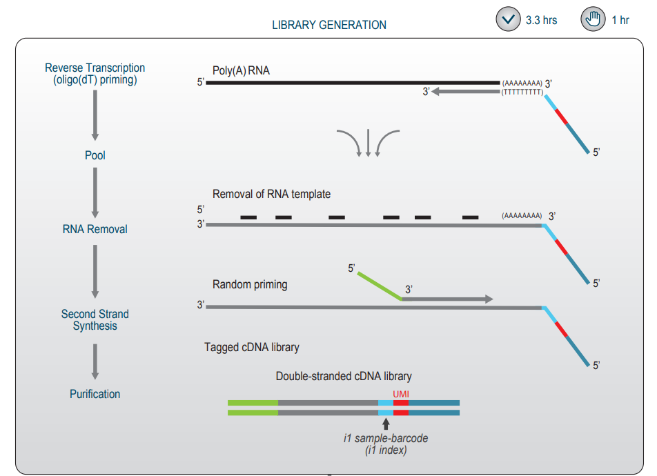 What is the difference between QuantSeq-Pool and standard QuantSeq?