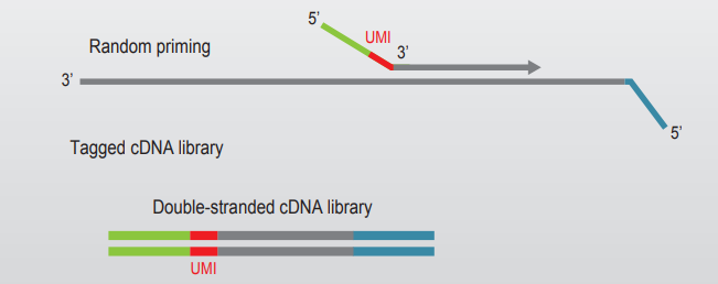 QuantSeq UMI Module