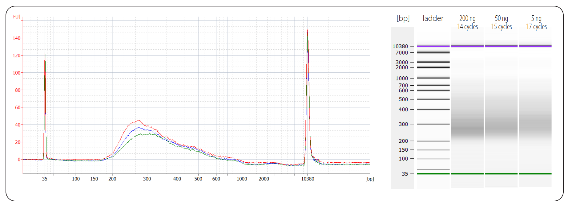 What are the input requirements for QuantSeq FFPE?