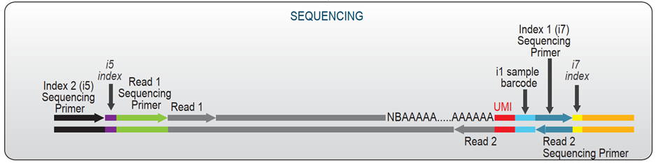 What is the recommended sequencing format and read depth?
